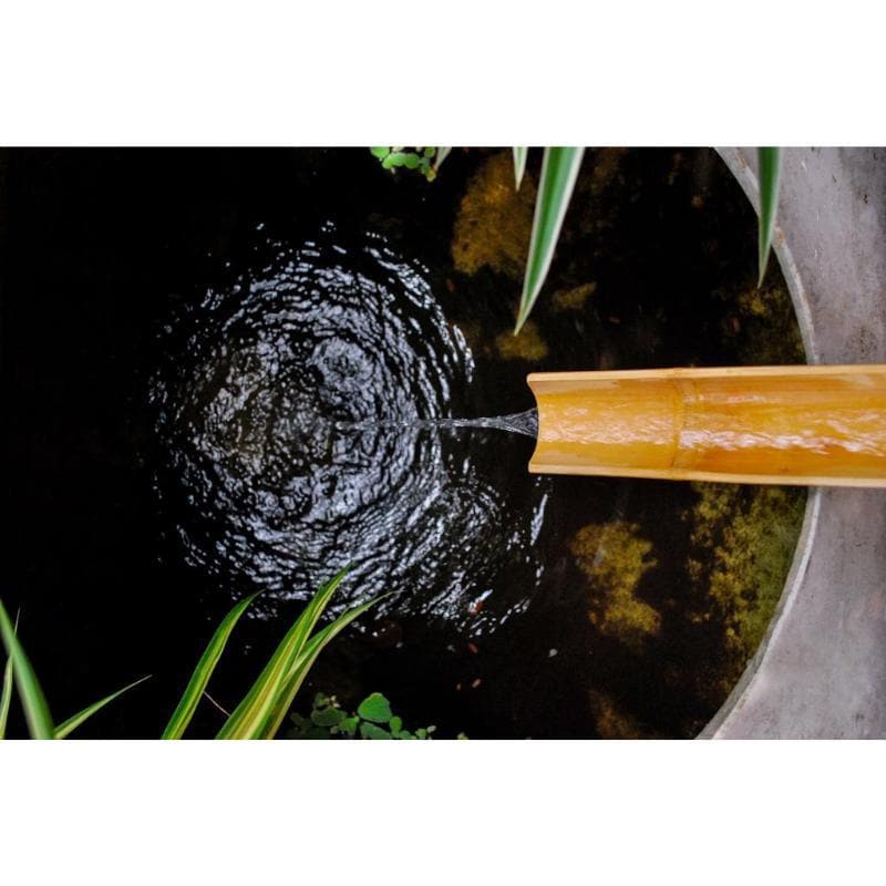 Qtoys Bamboo Channel on Sale | My Happy Helpers