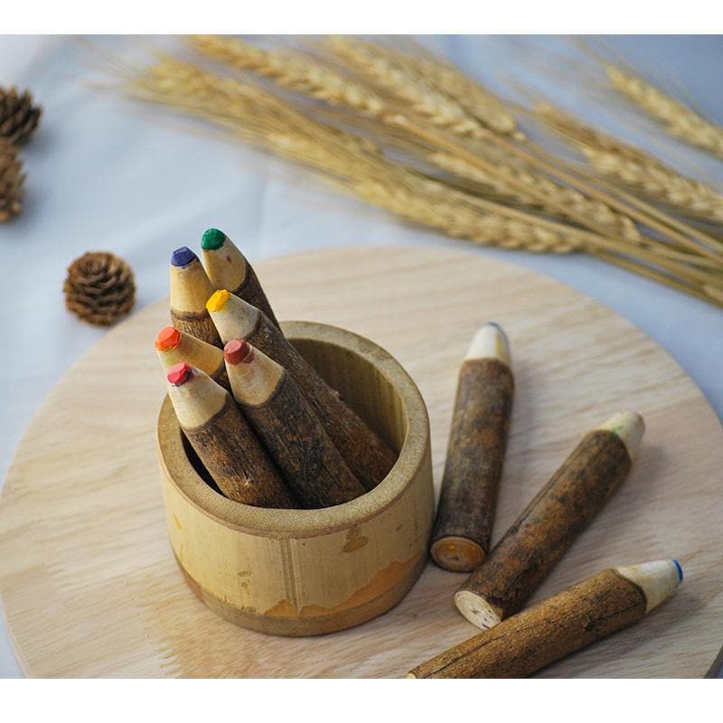 QToys - Tree Colour Pencil Set | My Happy Helpers